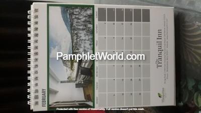 Flyer Printing & Free Doorstep Delivery Call 88262 21873