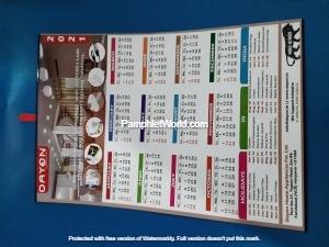 Flyer Printing & Free Doorstep Delivery Call 88262 21873