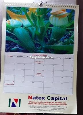 Flyer Printing & Free Doorstep Delivery Call 88262 21873