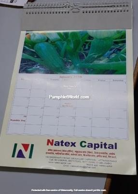 Flyer Printing & Free Doorstep Delivery Call 88262 21873